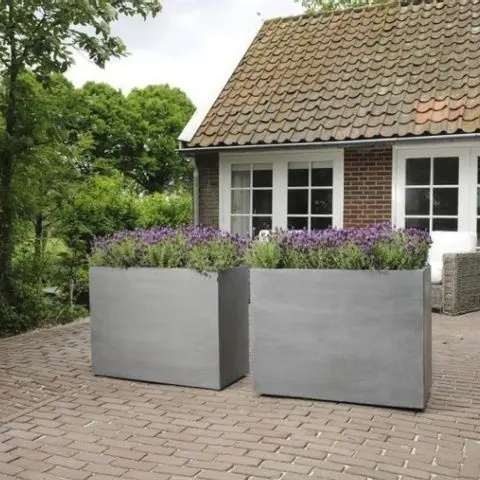 Store plantekasser - utendørs | Scandic Mood